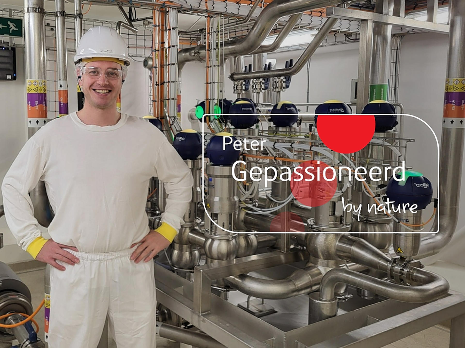 Ontdek onze zuivelfabriek(en) in Workum | FrieslandCampina Global ...