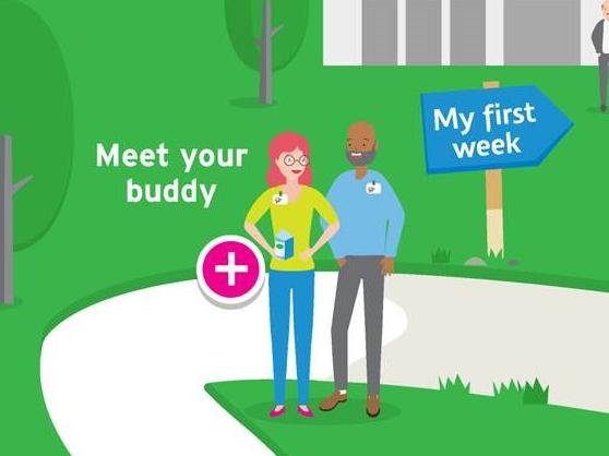 Buddy Program | FrieslandCampina Global Career Site