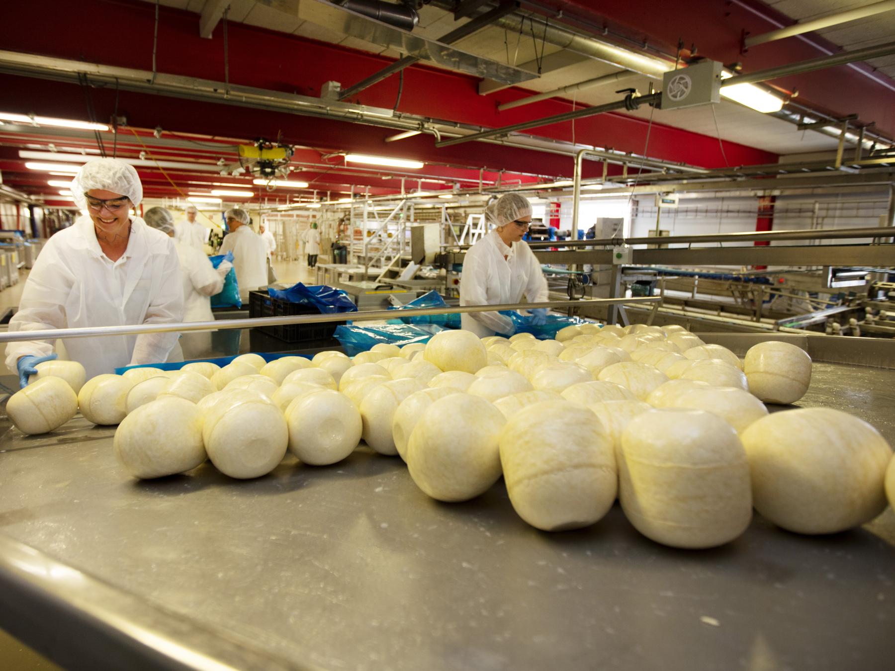 Neem een kijkje in onze kaasmakerij in Marum | FrieslandCampina Global ...